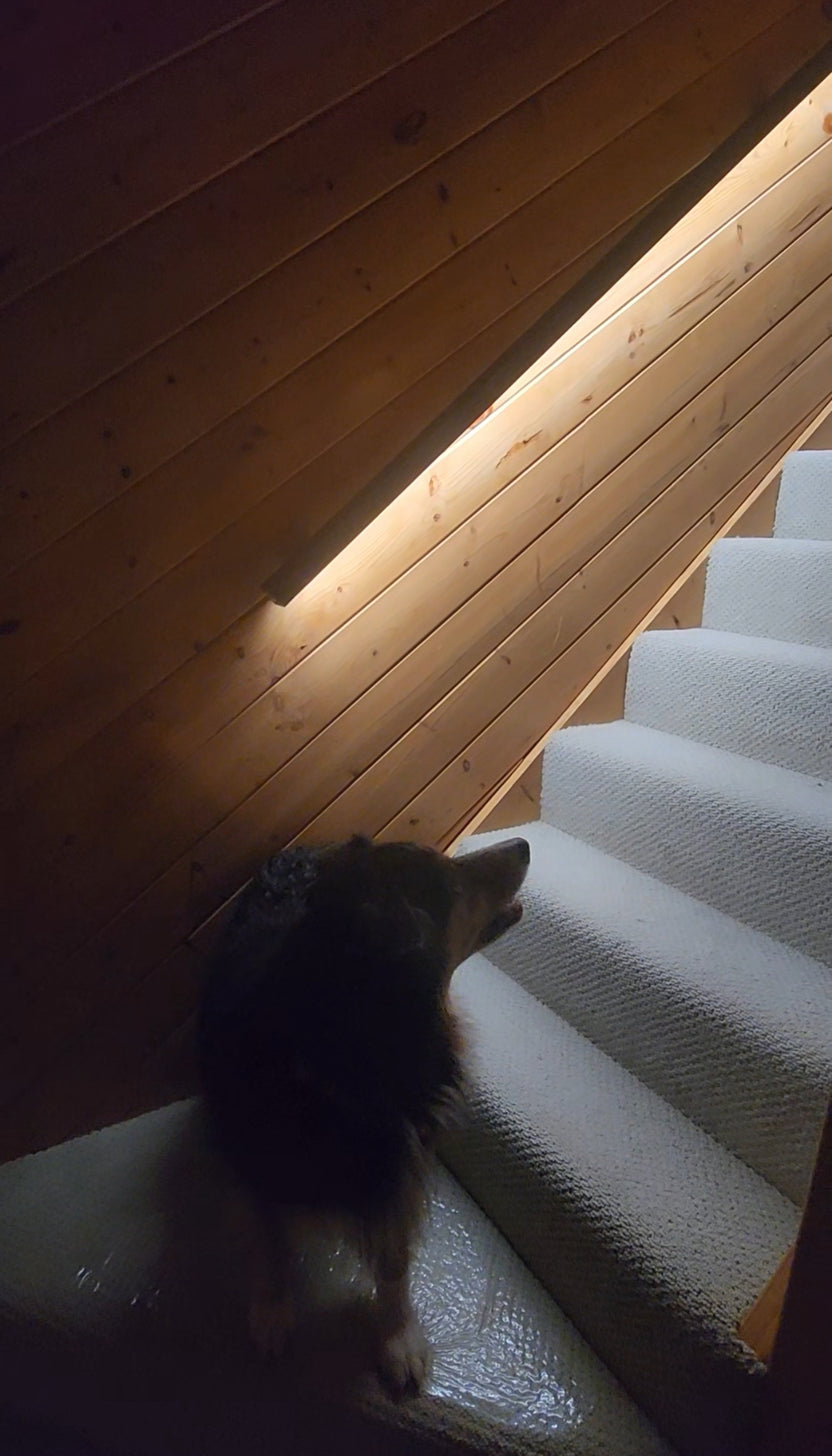 LED Handrails for Modern Homes & Businesses | FoxChase Handrail